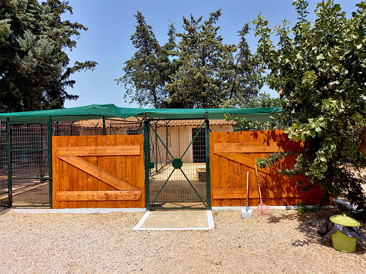 ZOO KENNEL | Πανσιόν Σκύλων και Γατών - Φωτογραφίες του χώρου μας